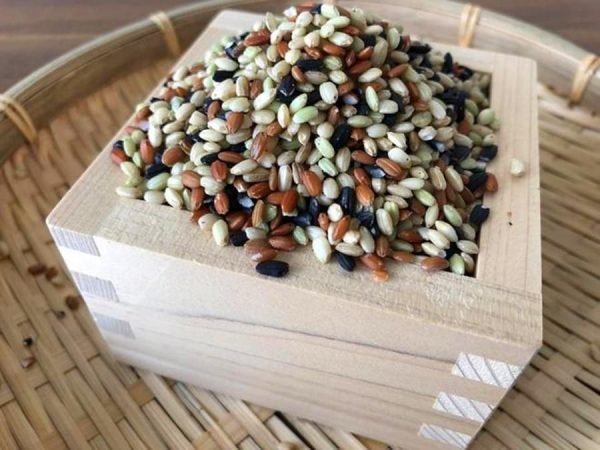 Exploring 10 Fascinating Rice Facts - Deli Foods